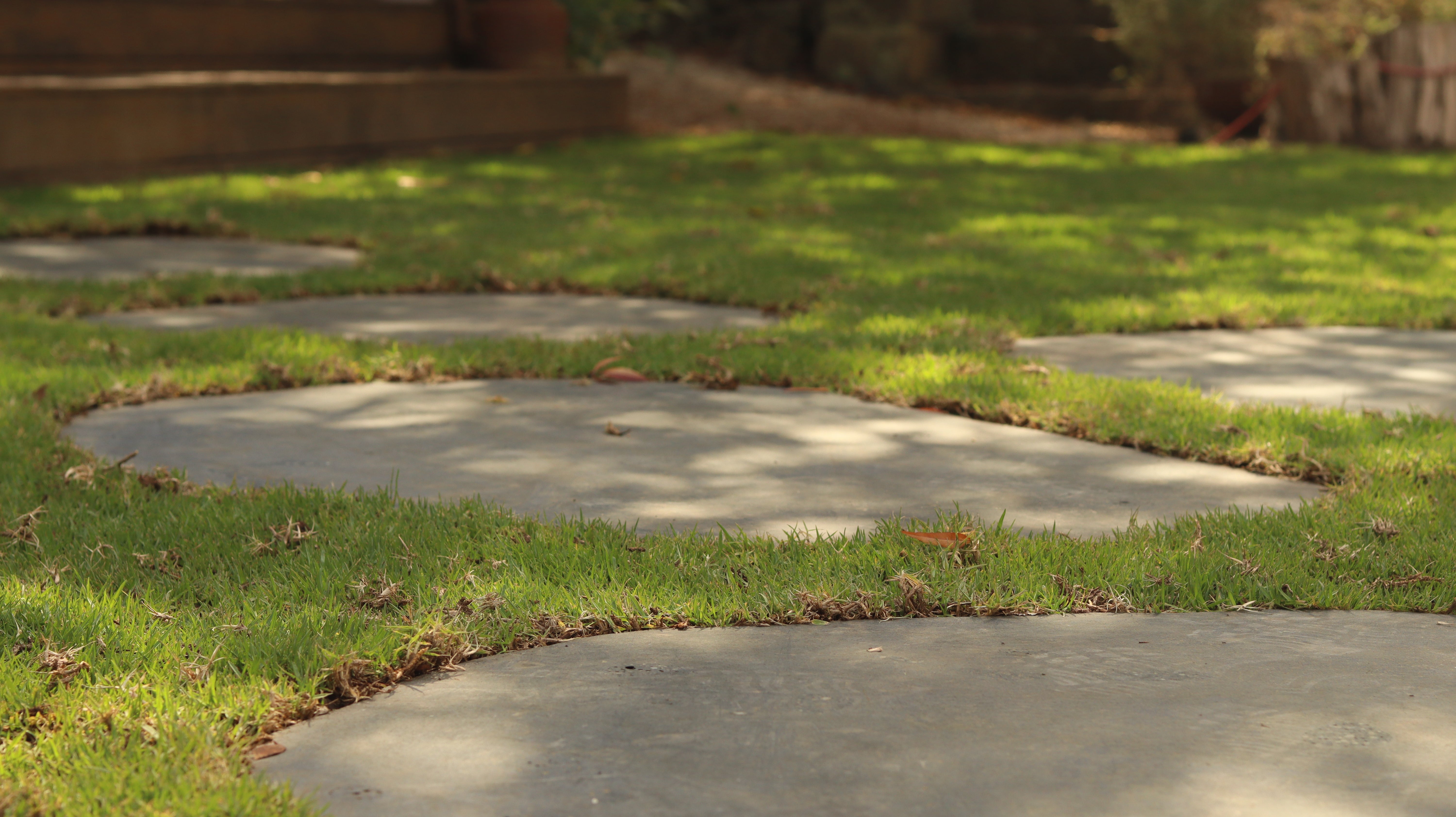 Lawn & Turf – ID Garden & Landscape Centre