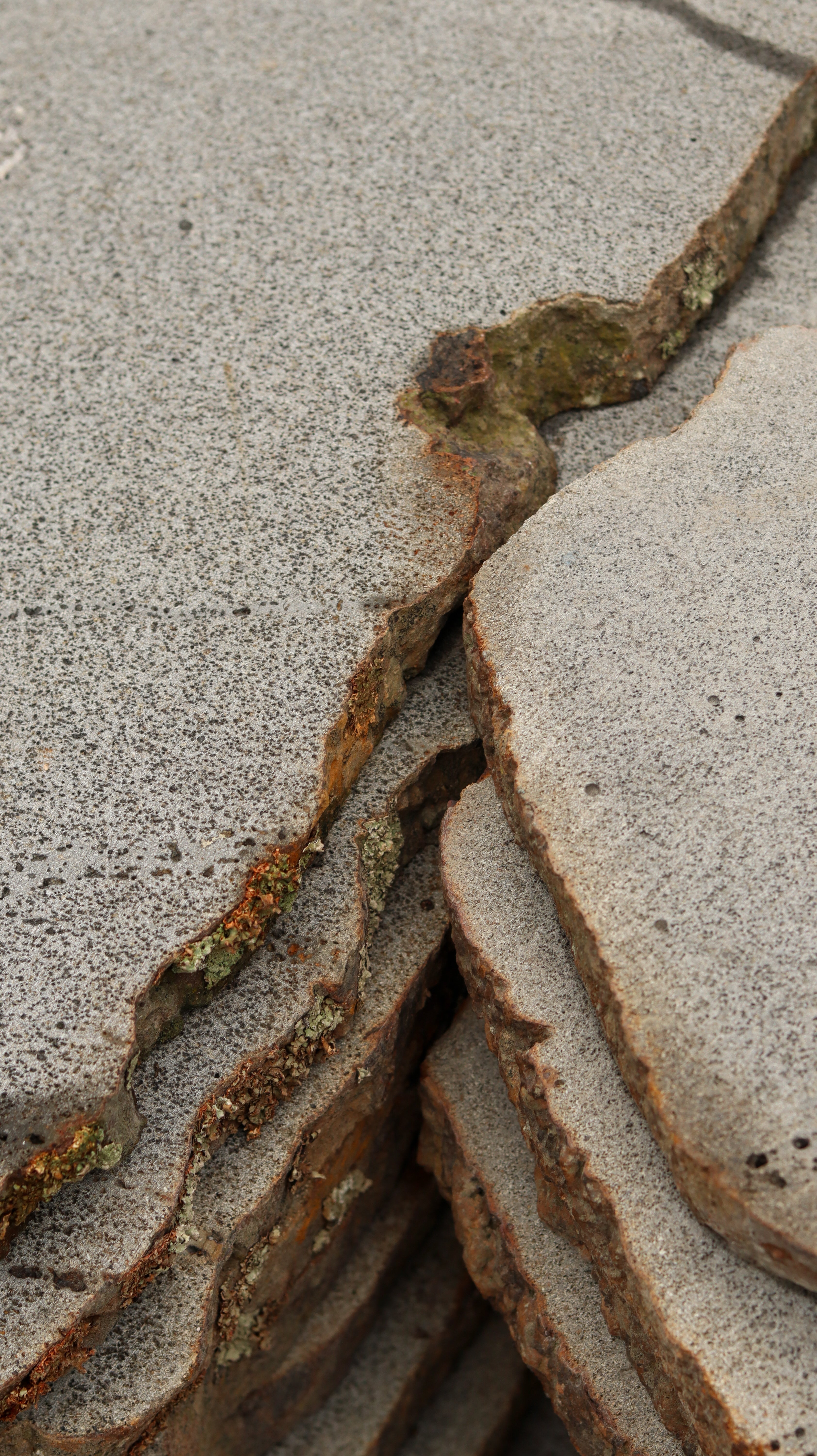 Sawn Bluestone Stepping Stones – ID Garden & Landscape Centre